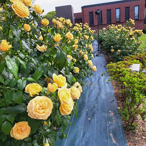 FancyMoves - jQuery product slider with FancyBox built in ...