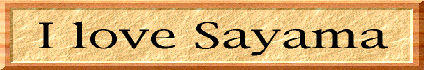 I Love Sayama表紙セット